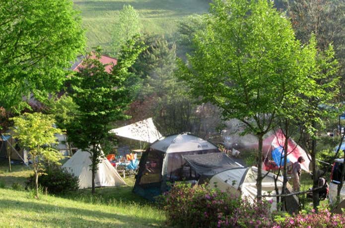 山口県の記事一覧 | YAMA HACK[ヤマハック]