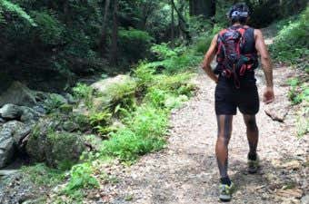 gregory | YAMA HACK[ヤマハック]