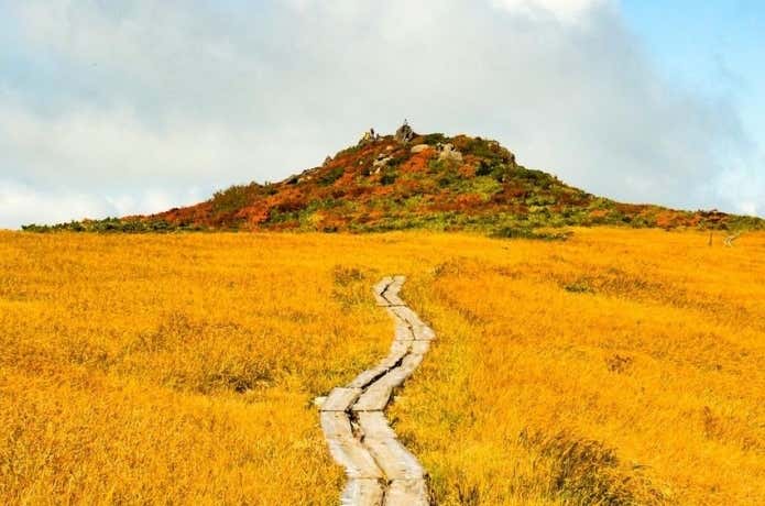 YAMA HACK読者が選んだ！紅葉の美しさに感動した登山スポットランキングTOP3 | YAMA HACK[ヤマハック]