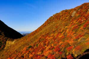 YAMA HACK読者が選んだ！紅葉の美しさに感動した登山スポットランキングTOP3 | YAMA HACK[ヤマハック]