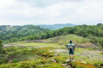 すべて1本100g台！軽量トレッキングポールおすすめ20モデル | YAMA HACK[ヤマハック]
