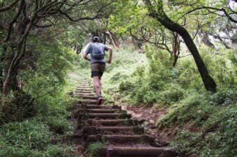 日帰り登山にもOKな「トレランシューズ」はコレ！人気ブランドいちおし8モデル | YAMA HACK[ヤマハック]